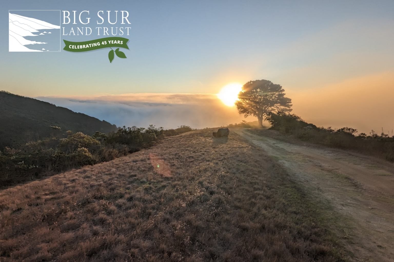 Solstice Wonder and Holiday Greetings from Big Sur Land Trust! - Big ...